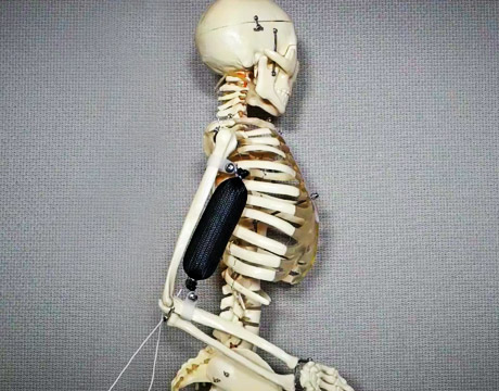 Soft Robotic Muscle May Lead to Lifelike Robots - ASME