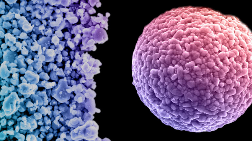 Red Adair to the Rescue - ASME